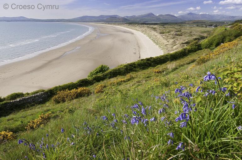 Hafod | Hafod in Barmouth