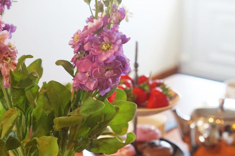 Bythynnod Lleuddad Cottages | Bythynnod Lleuddad Cottages in Llangwnadl