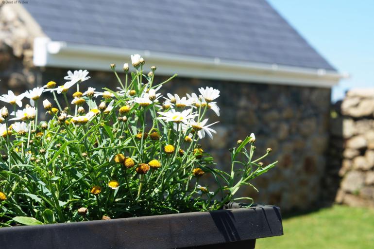 Bythynnod Lleuddad Cottages | Bythynnod Lleuddad Cottages in Llangwnadl