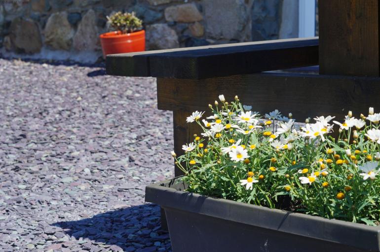 Bythynnod Lleuddad Cottages | Bythynnod Lleuddad Cottages in Llangwnadl