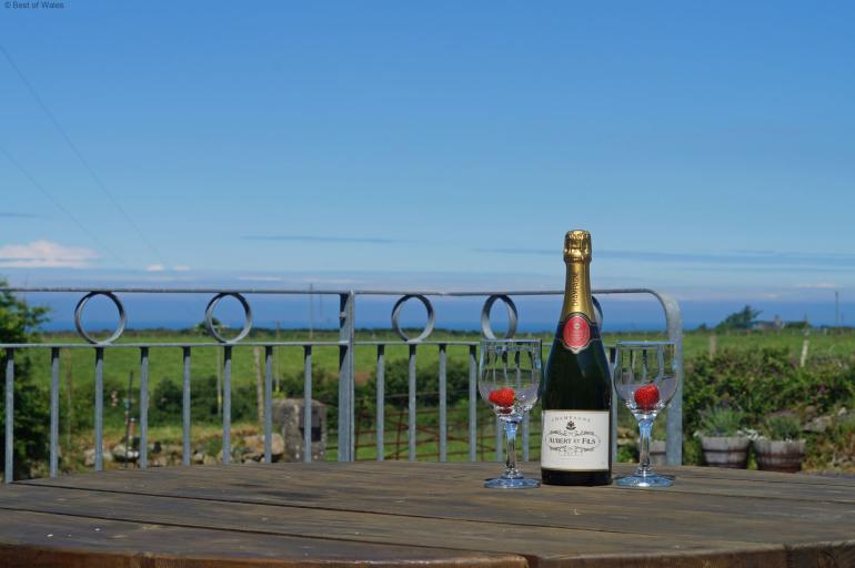 Bythynnod Lleuddad Cottages | Bythynnod Lleuddad Cottages in Llangwnadl