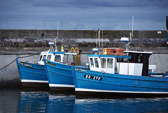 Oyster Cottage Seahouses | Oyster Cottage Seahouses in North Sunderland ...