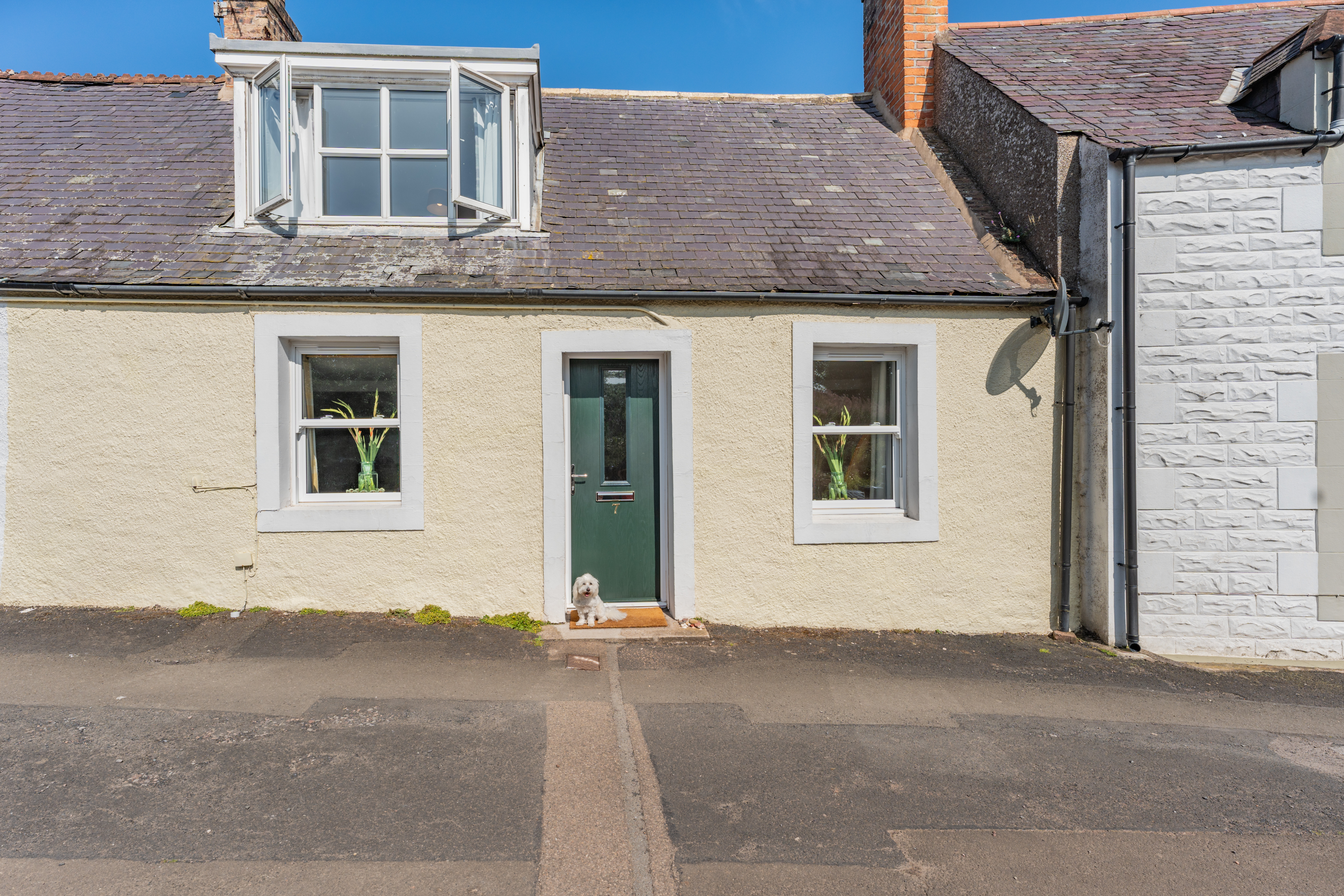 Bogan | Bogan in Coldingham, near Eyemouth, Southern Scotland