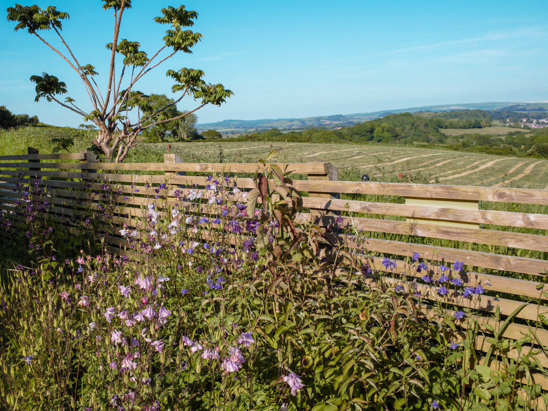 Quarr Lane Farm Lodge | Quarr Lane Farm Lodge in Bridport, near West ...