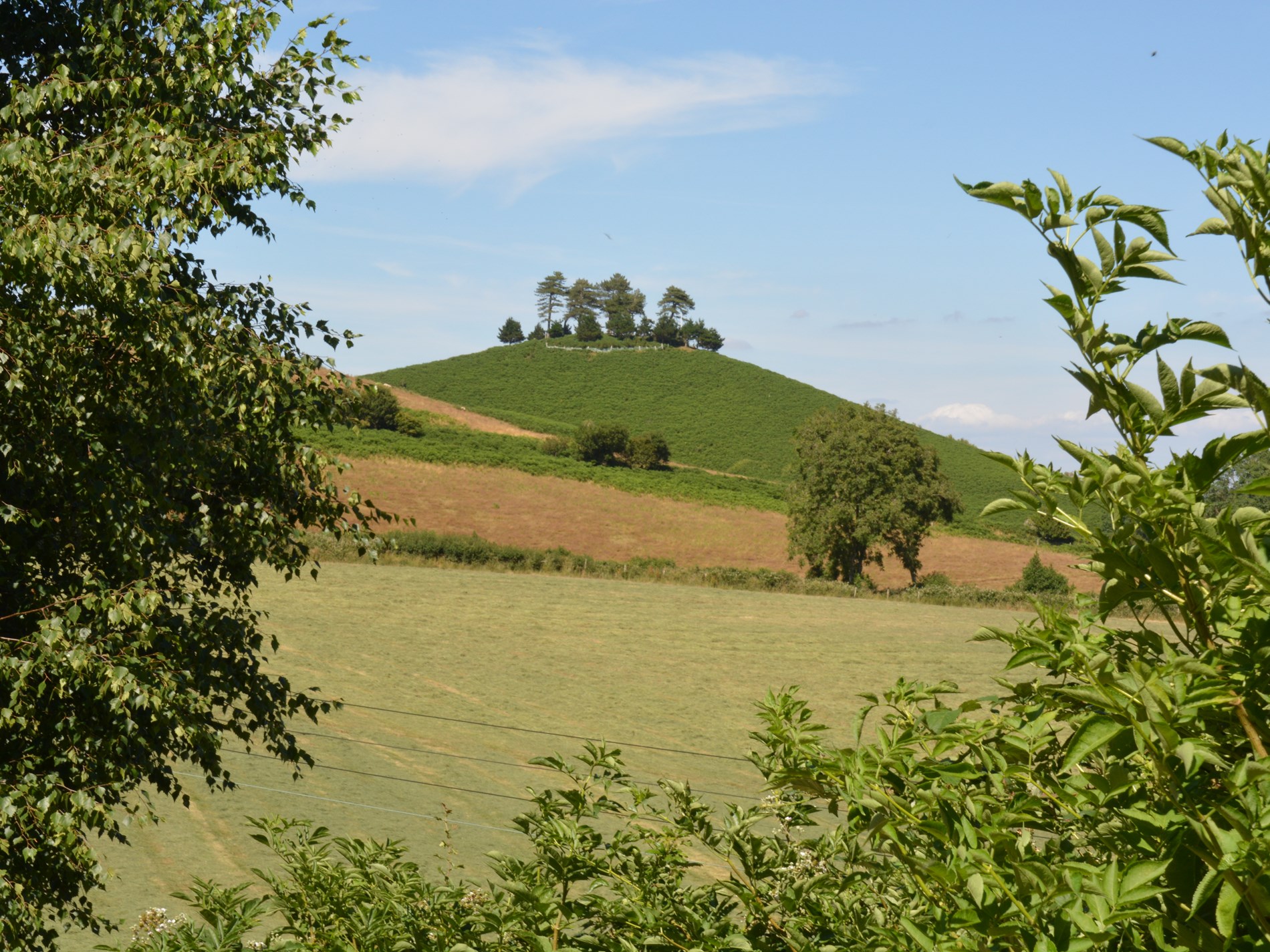 Quarr Lane Farm Lodge | Quarr Lane Farm Lodge in Bridport, near West ...
