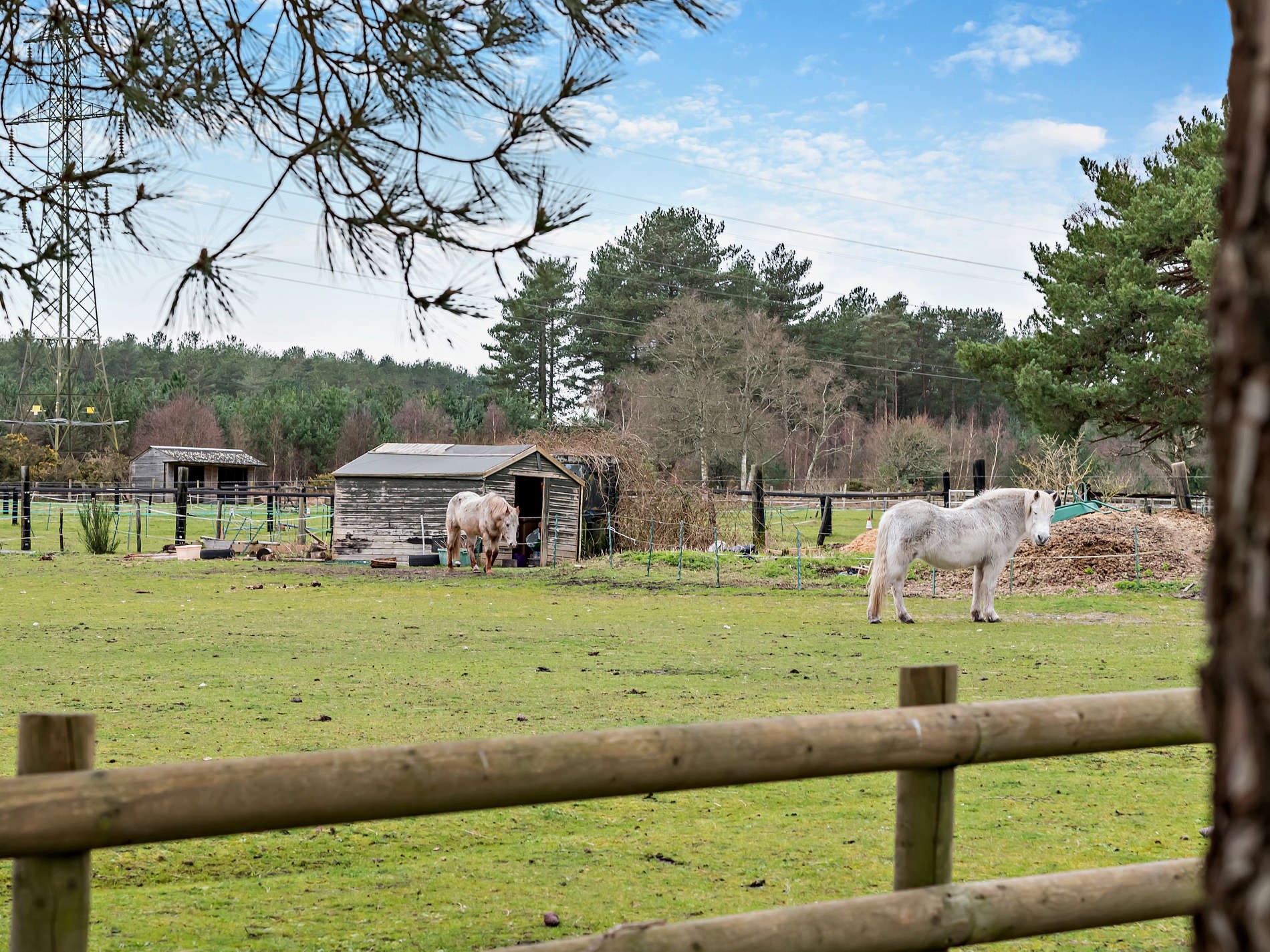 Hurn Forest View - Ringwood | Hurn Forest View - Ringwood in St ...