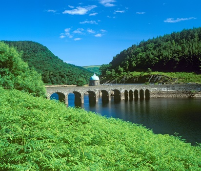 High Trees | High Trees in Carmarthen