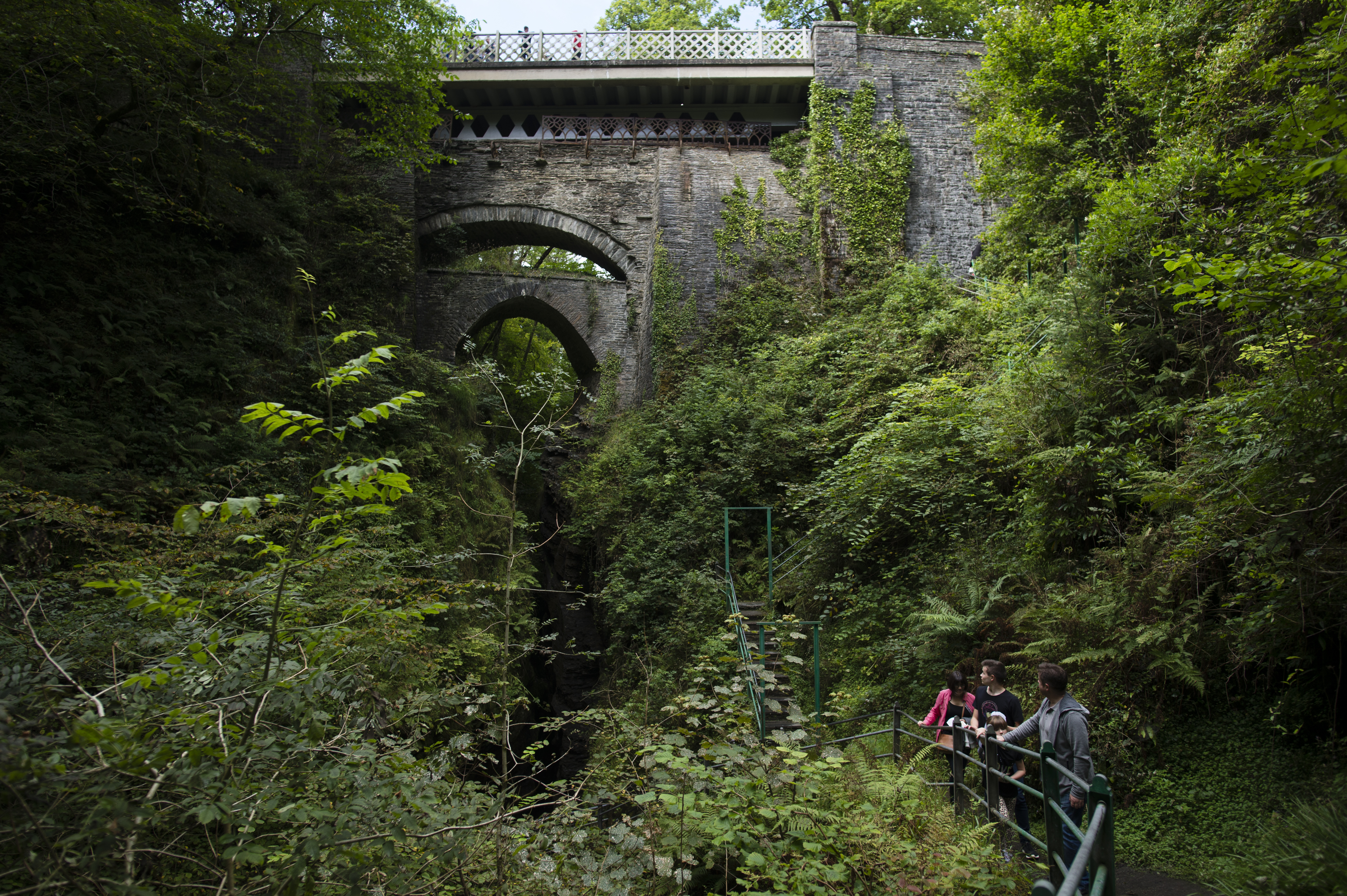 Maes Y Barcud | Maes Y Barcud in Capel Bangor, near Aberystwyth, Mid Wales