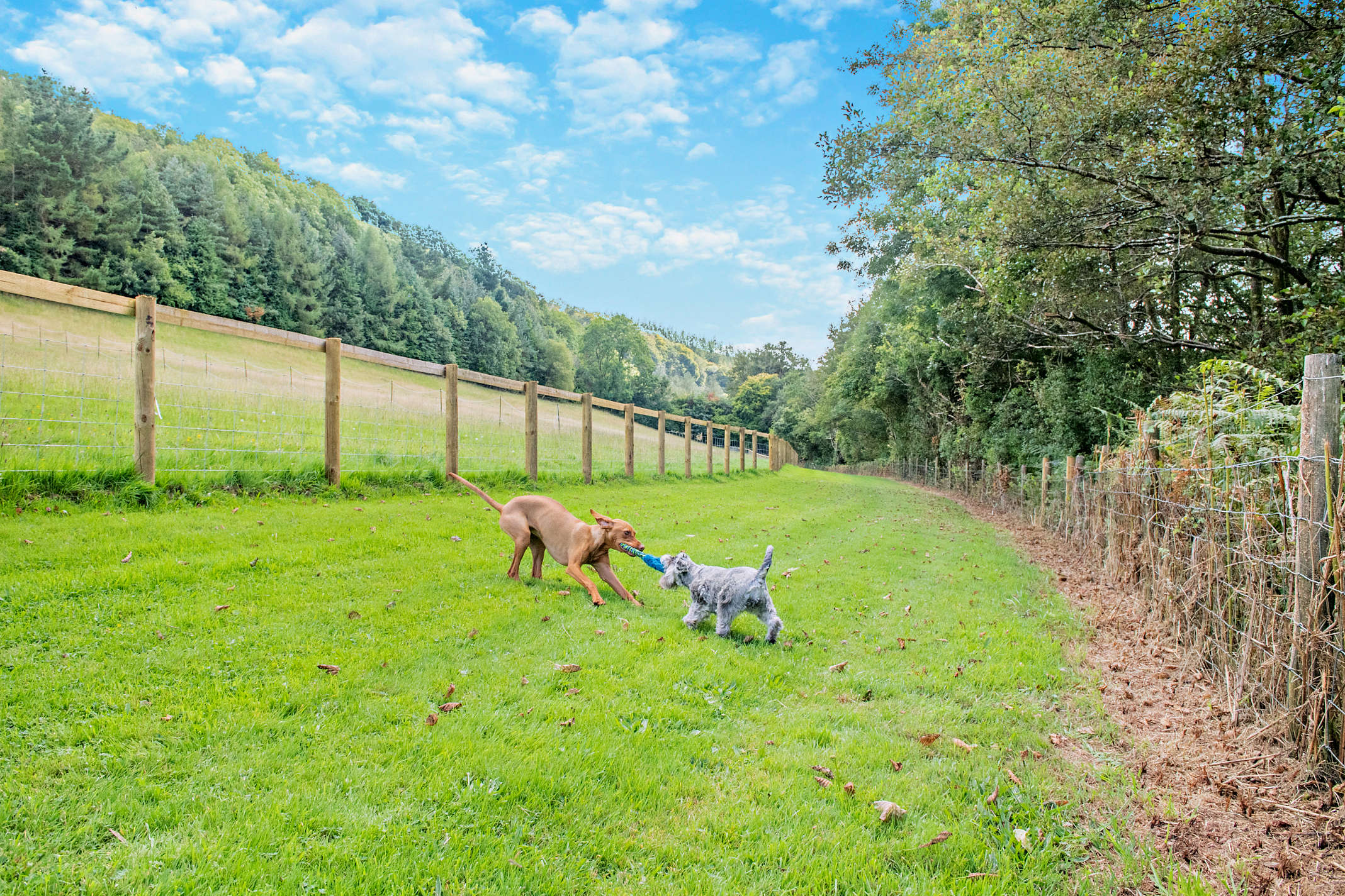 The Old Stables - Wiveliscombe | The Old Stables - Wiveliscombe in ...