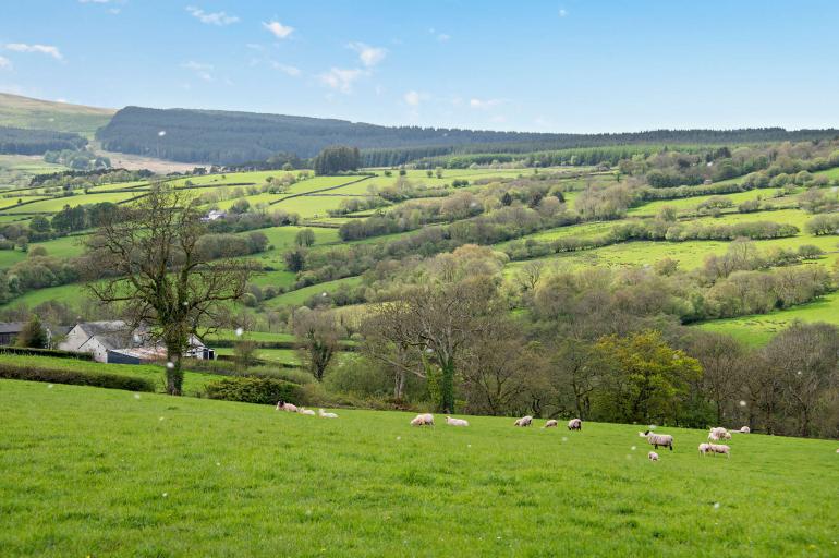 Llysfaen Cottage | Llysfaen Cottage in Brecon