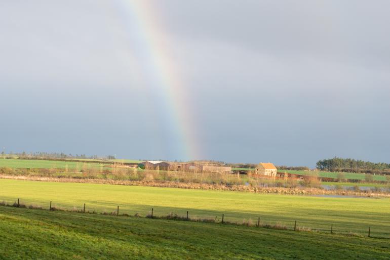 The Old Mill | The Old Mill in Craster & Embleton Area