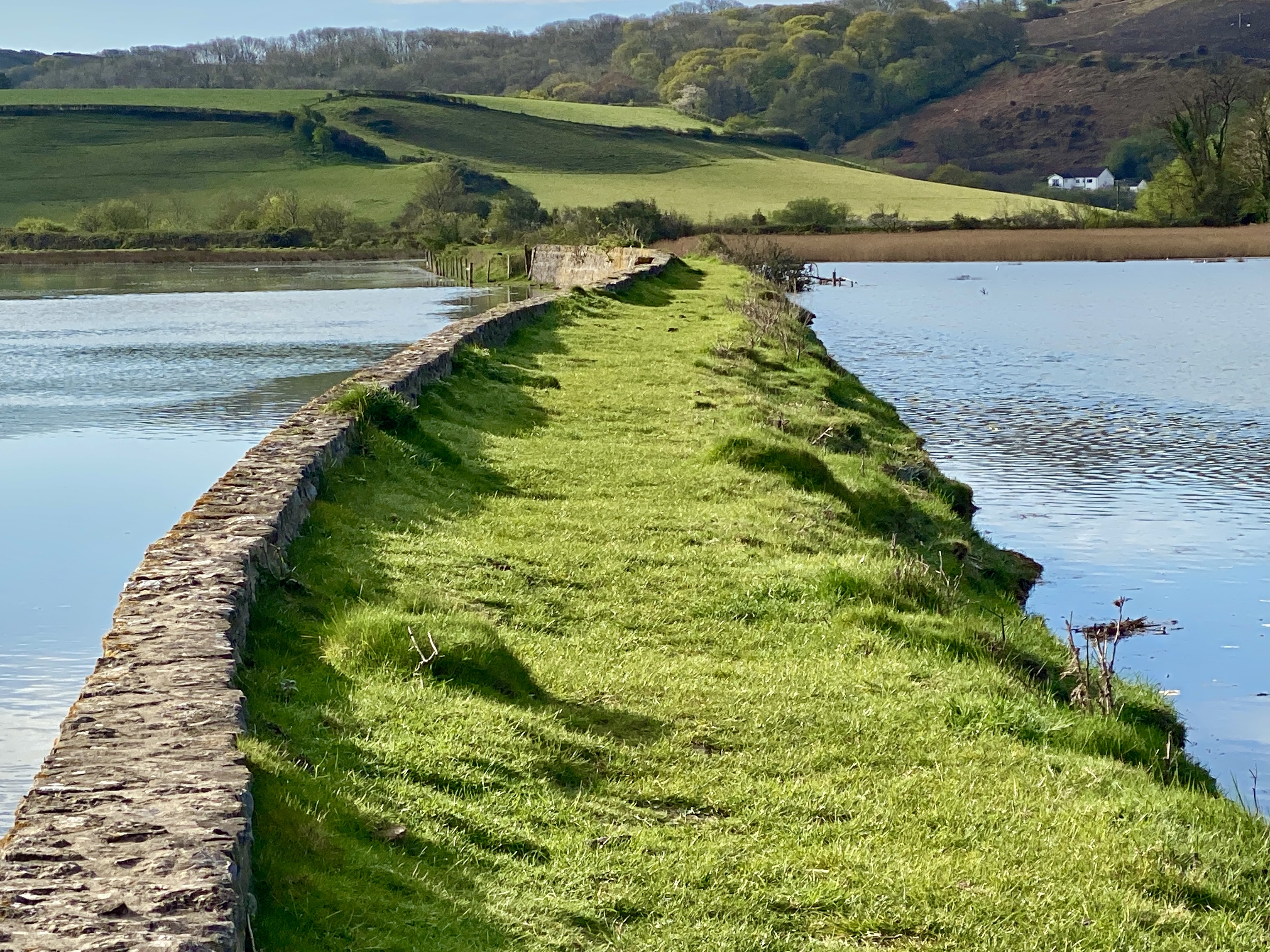 East Cwm Ivy | East Cwm Ivy in Llanmadoc, near Rhossili, South Wales