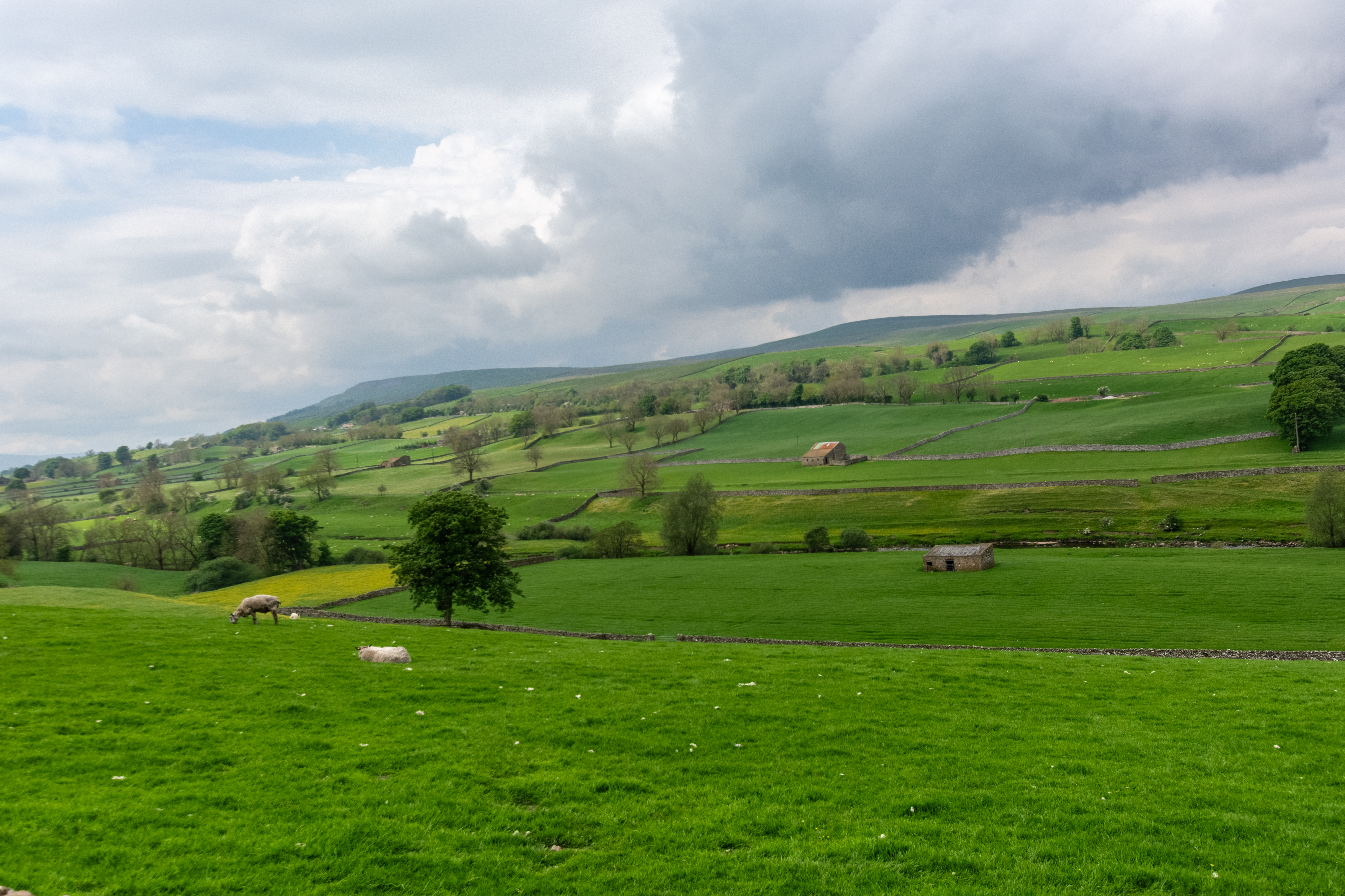 Heather View | Heather View in Gunnerside, near Reeth, Yorkshire
