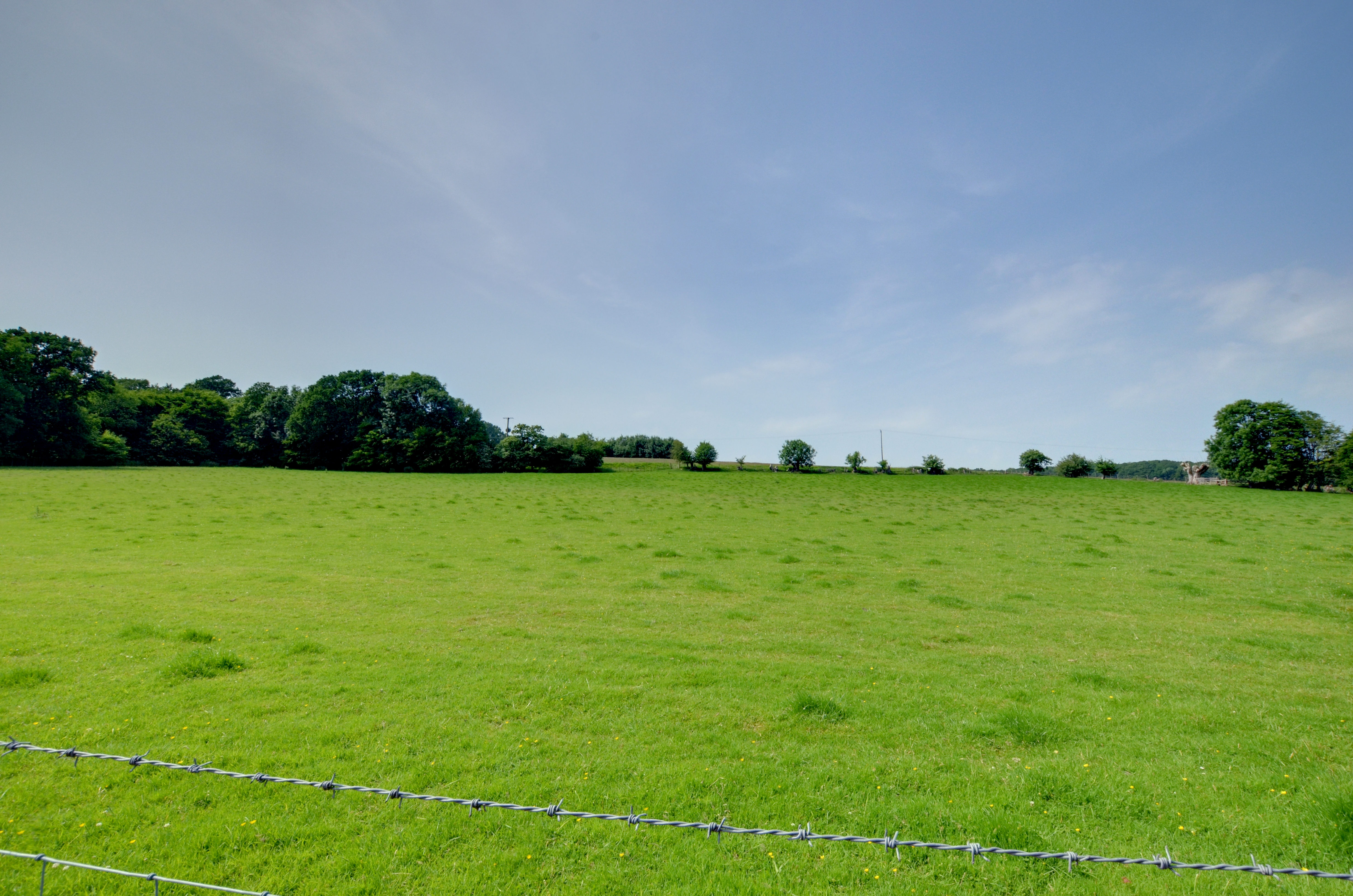 Iden Green Farm Stables | Iden Green Farm Stables in Benenden, near ...