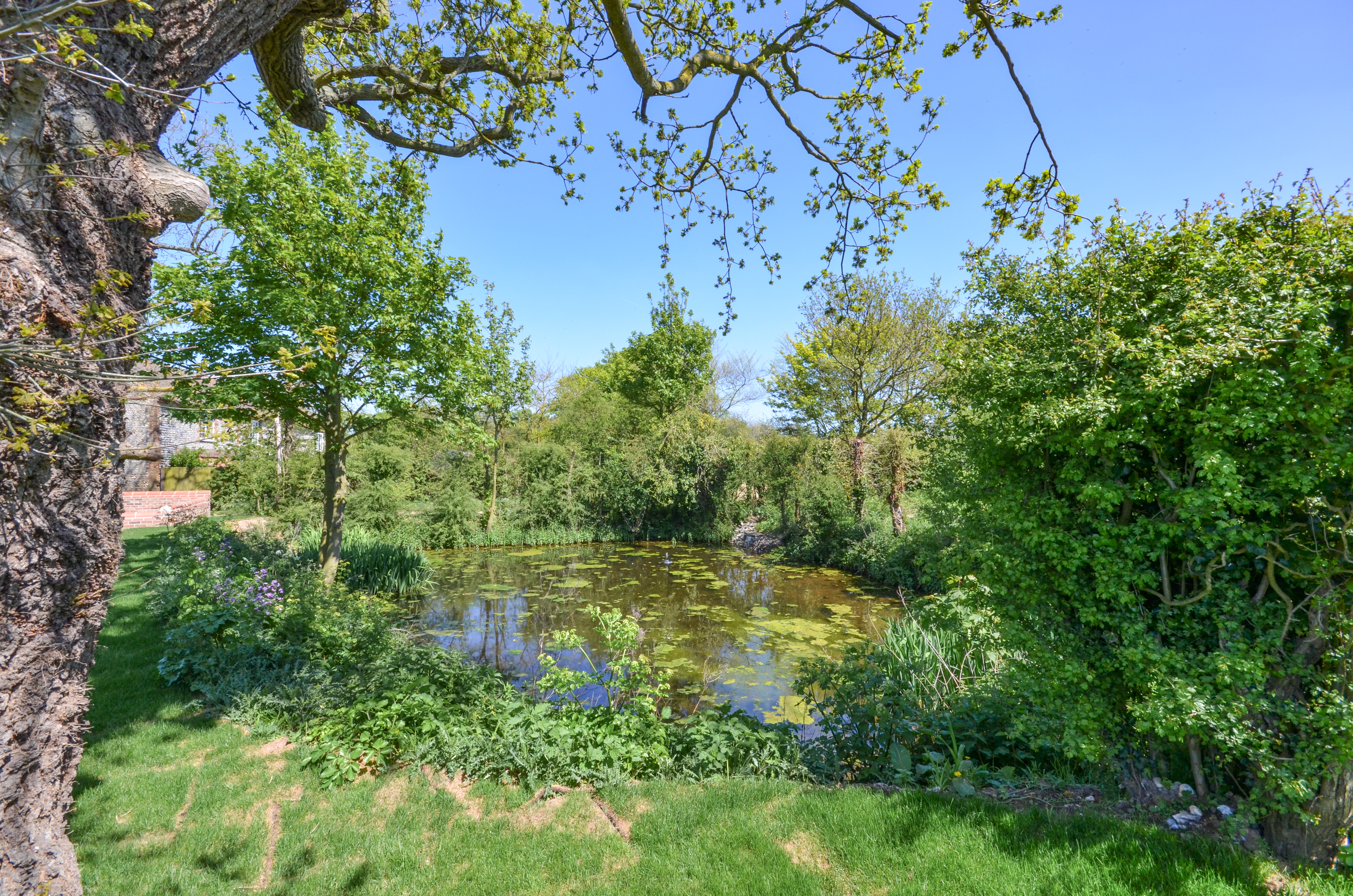 Farm Cottage | Farm Cottage in Sidestrand, near Cromer, Norfolk