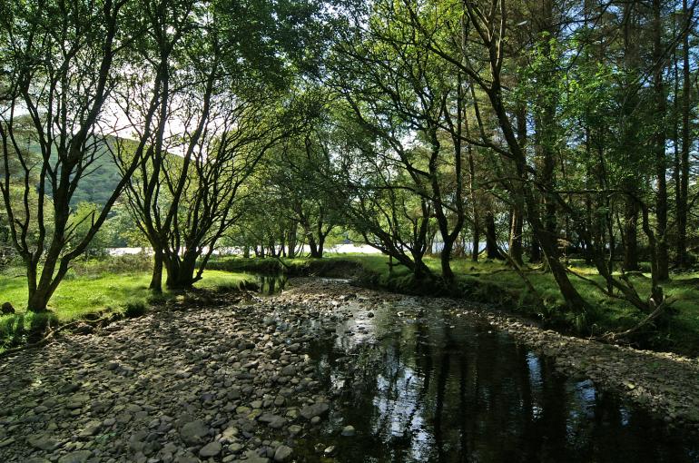 Inchiquin Lough | Inchiquin Lough in Tuosist