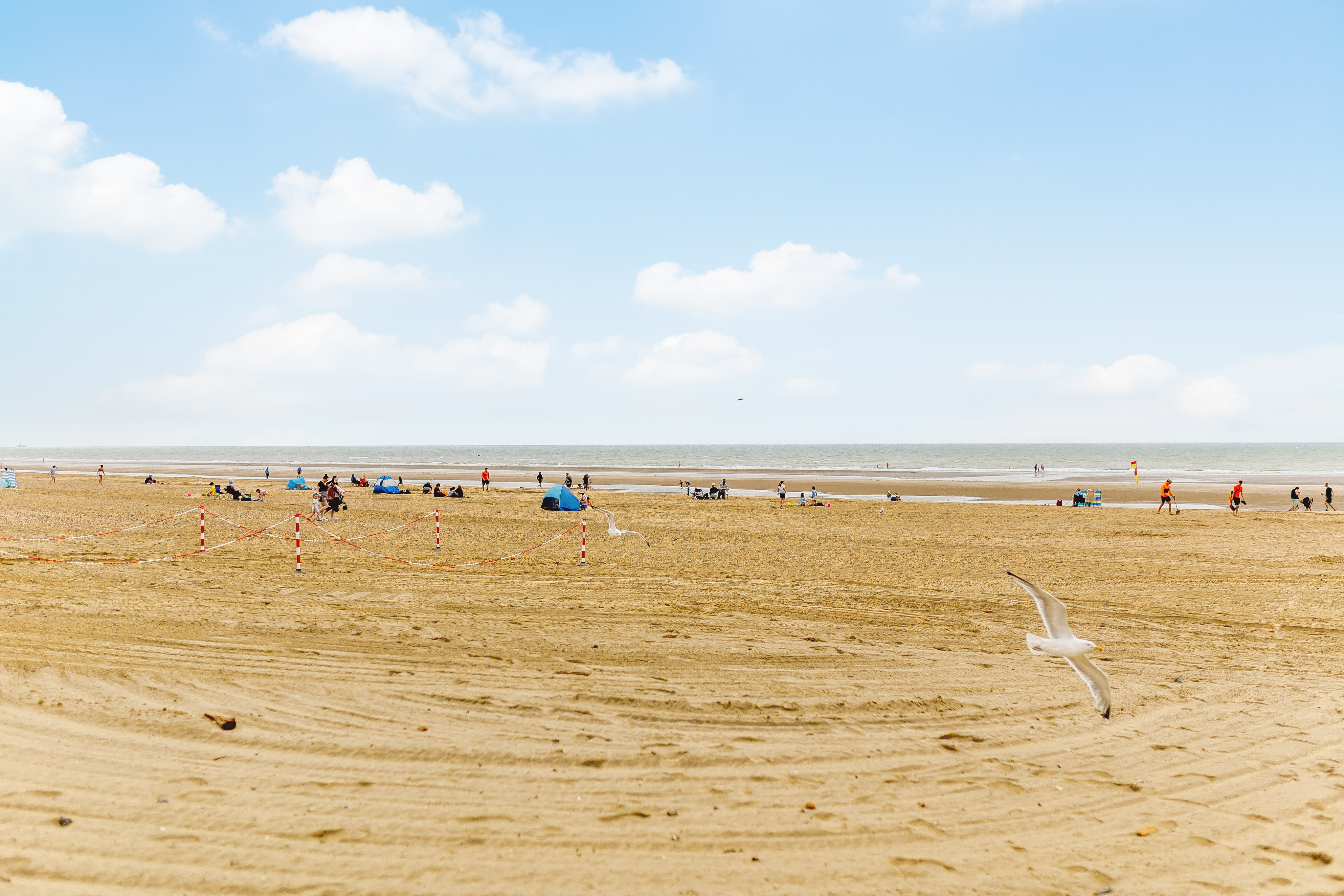 Shoreside | Shoreside in Camber, near Rye, Sussex
