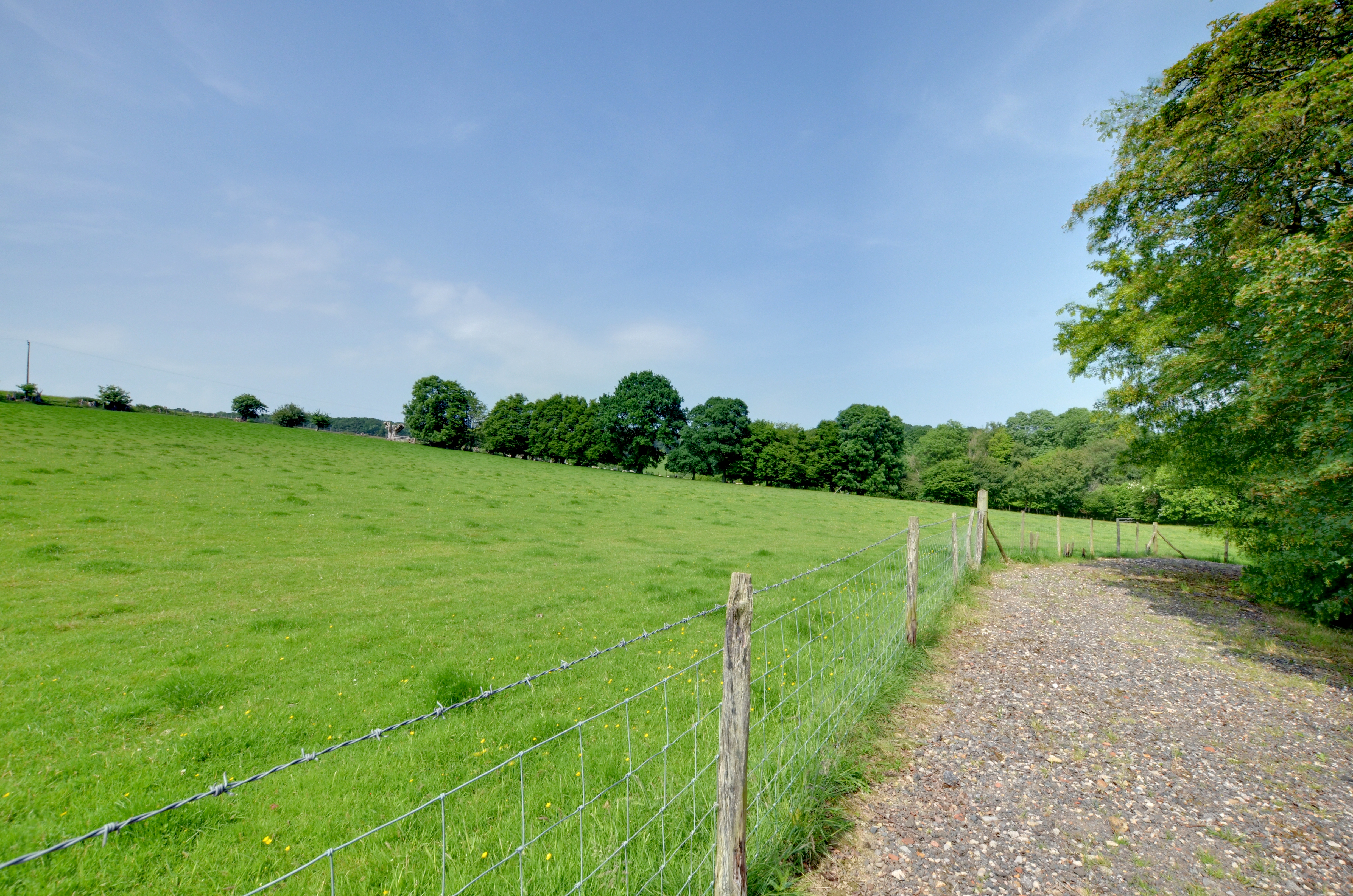 Iden Green Farm Stables | Iden Green Farm Stables in Benenden, near ...