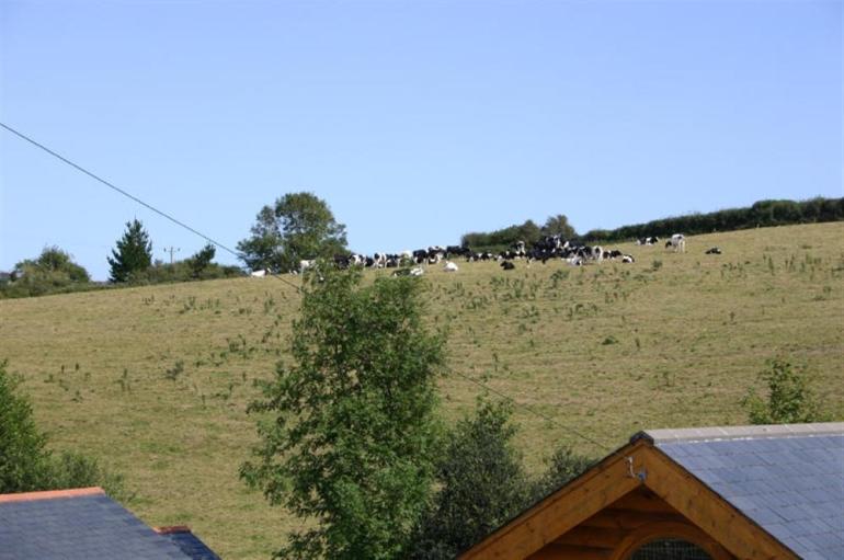 Trenant | Trenant in Little Petherick