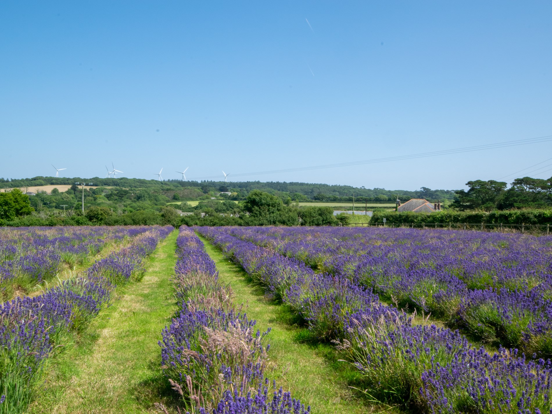 Nanplough Country House | Nanplough Country House in Cury Cross Lanes ...