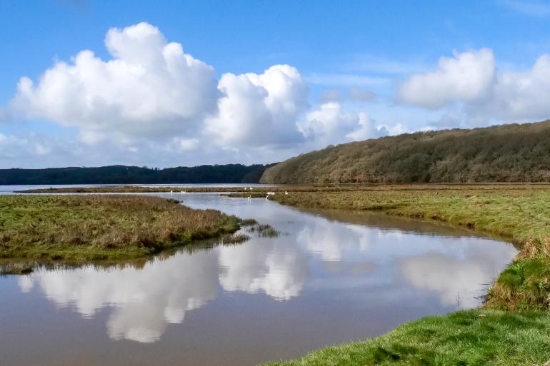 Robin Cottage - Cornwall | Robin Cottage - Cornwall in Truro