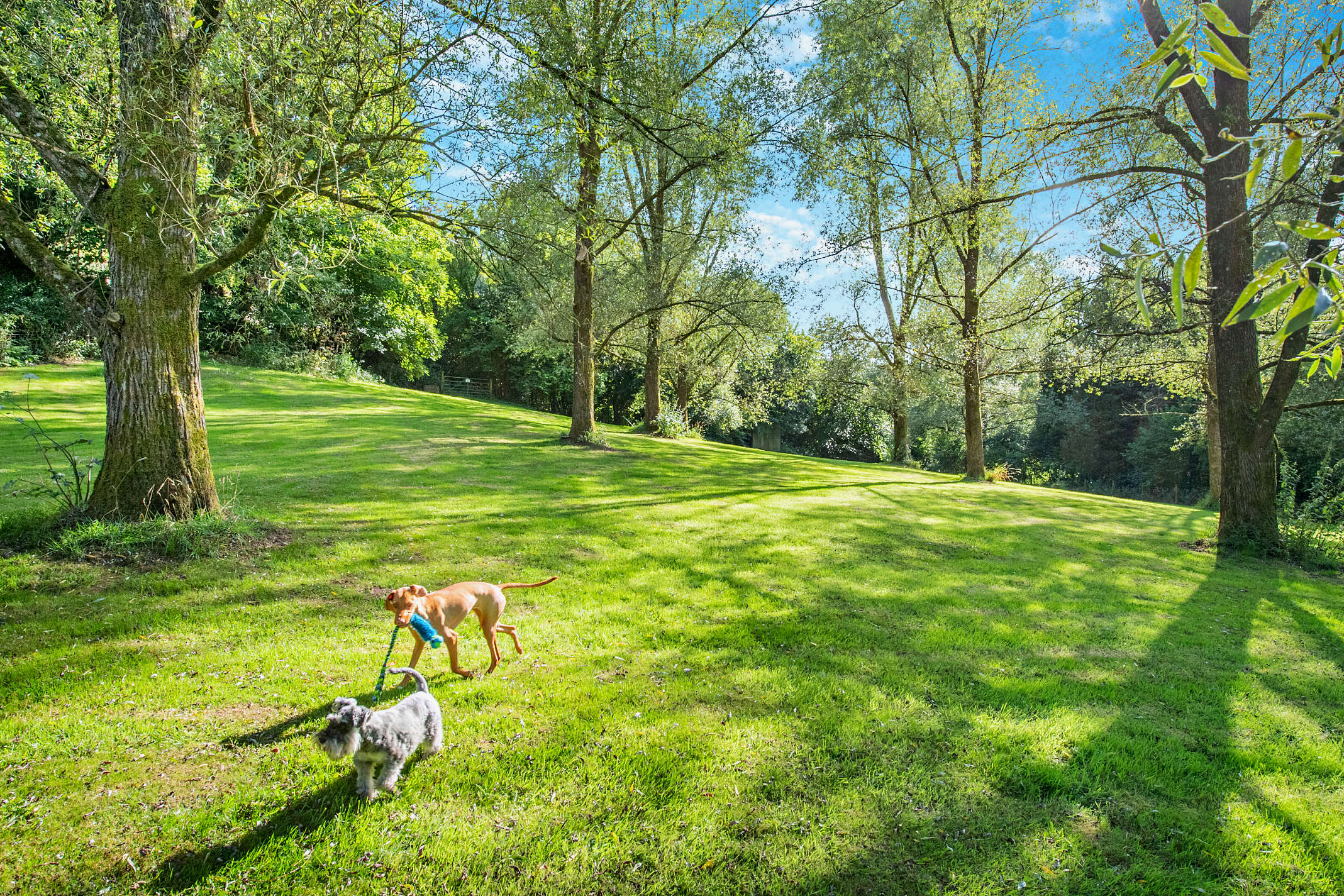The Old Stables - Wiveliscombe | The Old Stables - Wiveliscombe in ...