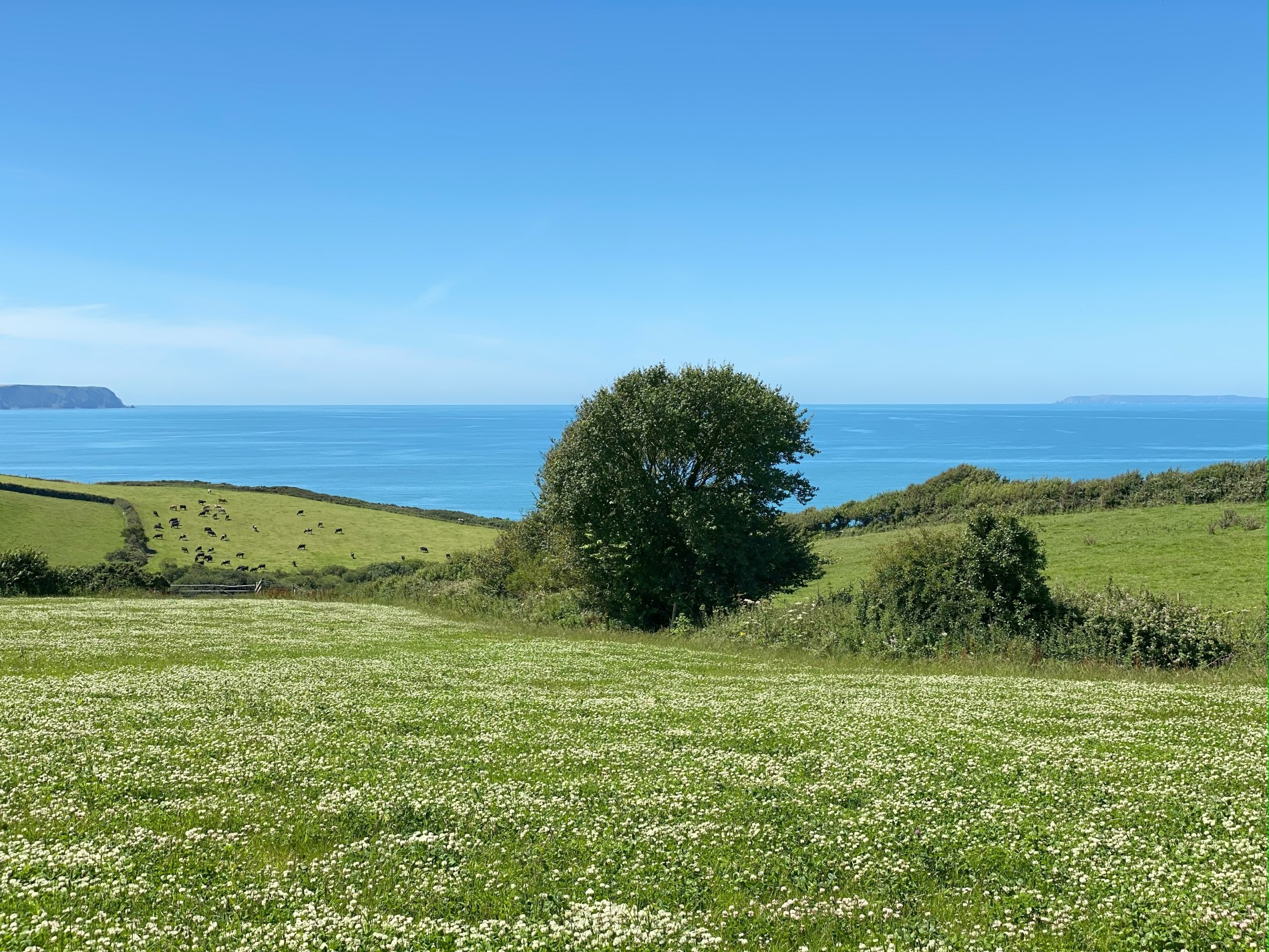 Greencliff Farm - Kingsland Barn | Greencliff Farm - Kingsland Barn in ...