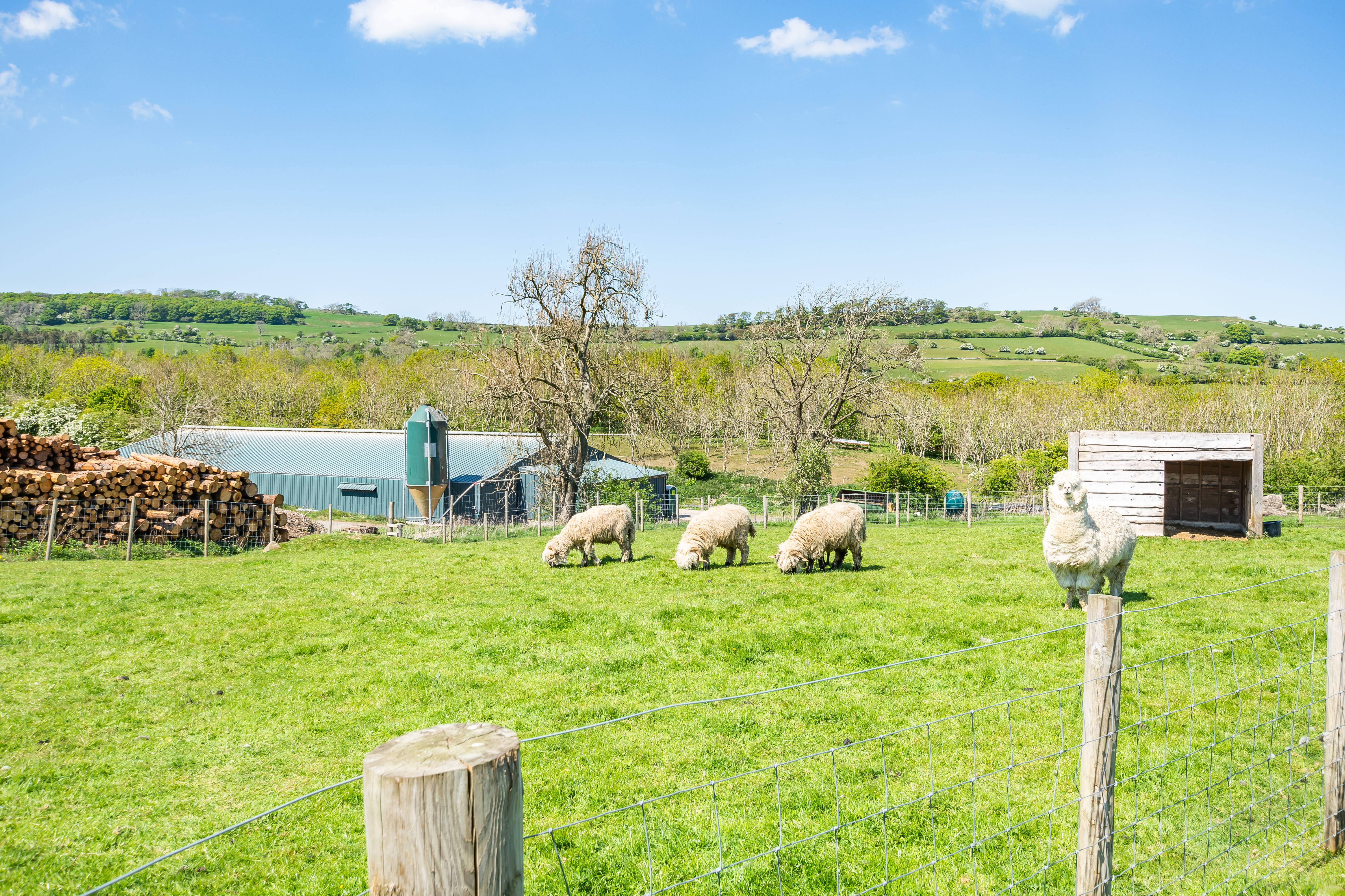 Badgers Den | Badgers Den in Isel, near Cockermouth, Cumbria