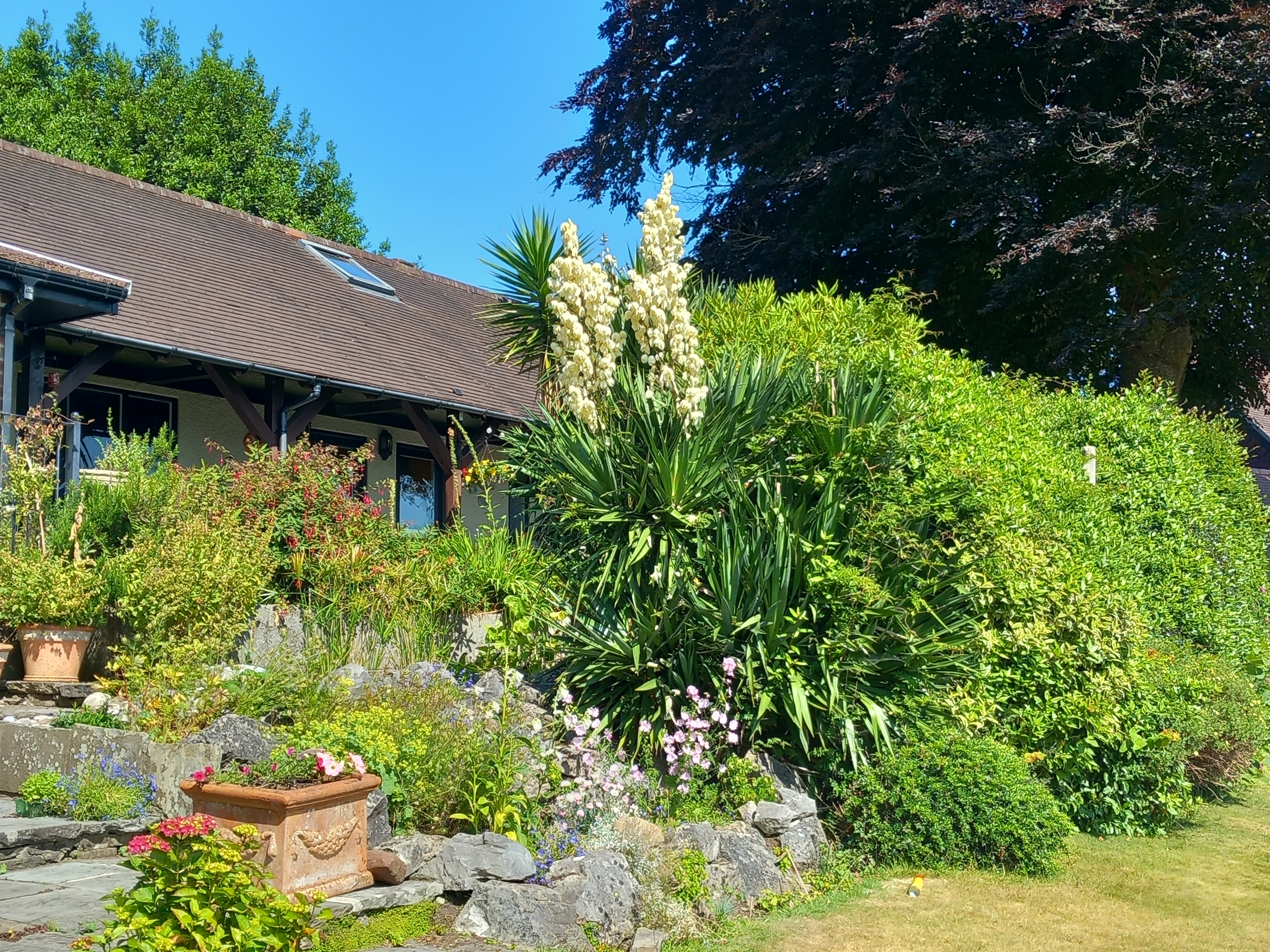 The Gite | The Gite in West Cross, near Mumbles, South Wales