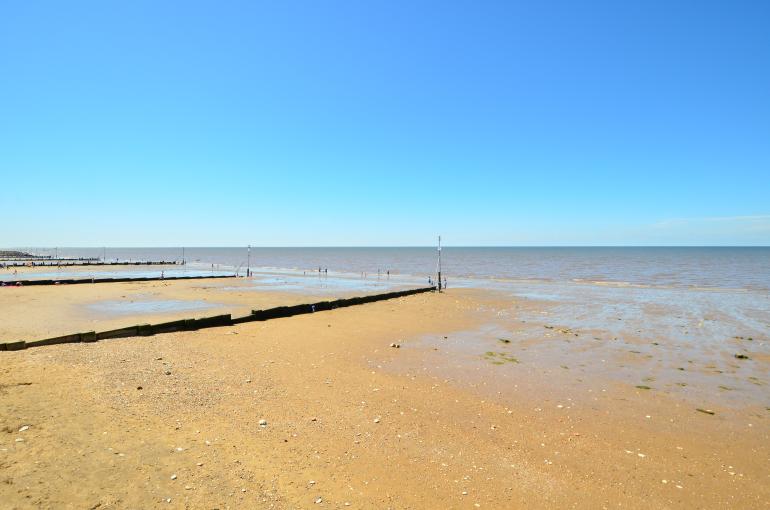 Seashells | Seashells in Hunstanton