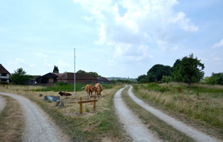 Wagon Lodge at Forstal Farm | Wagon Lodge at Forstal Farm in Tenterden