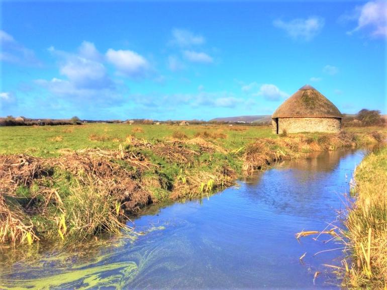 Dolphin Cottage | Dolphin Cottage in Braunton