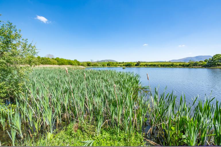 Badgers Den | Badgers Den in Cockermouth