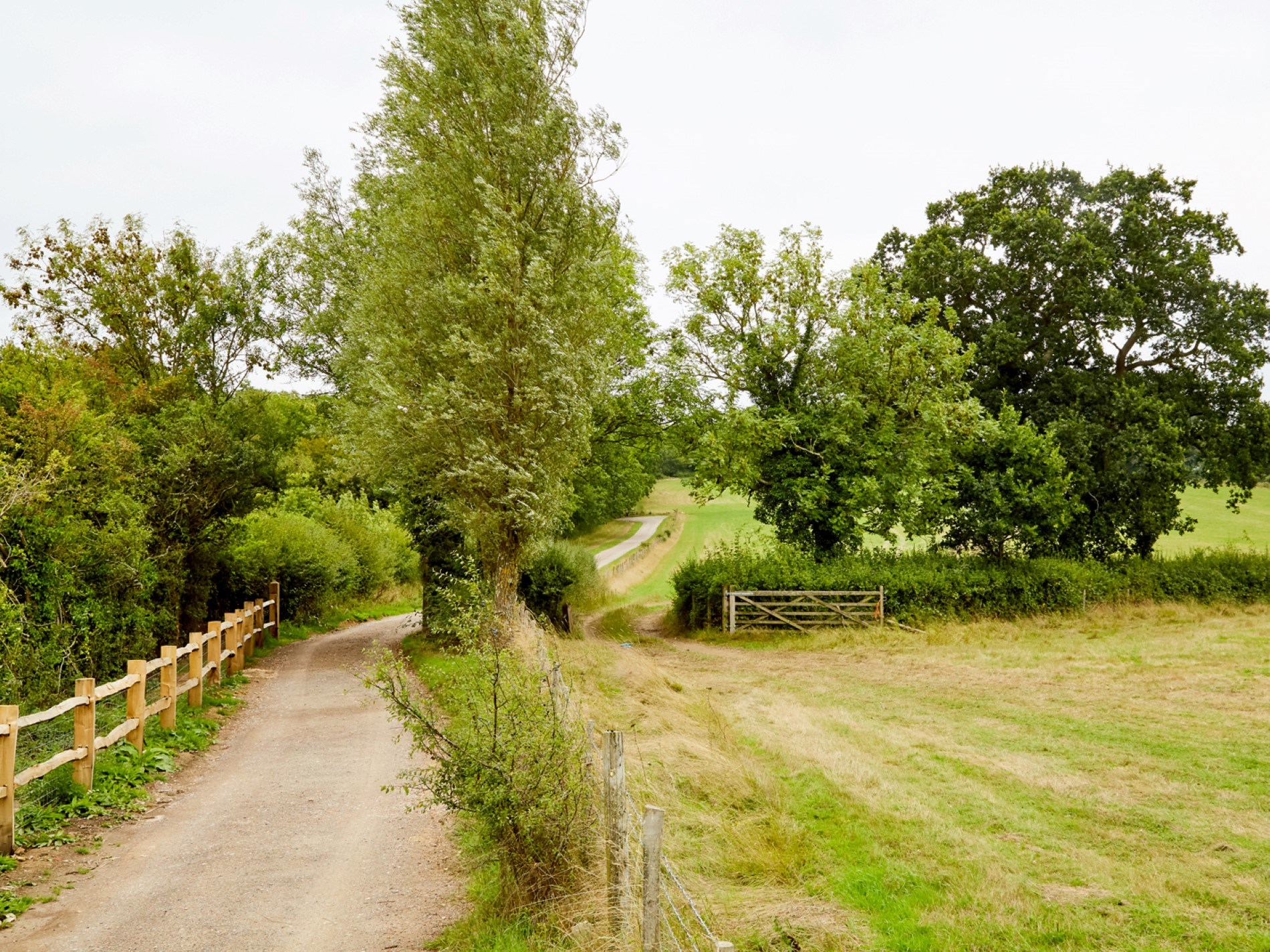 Forge House | Forge House in Etchingham, Sussex
