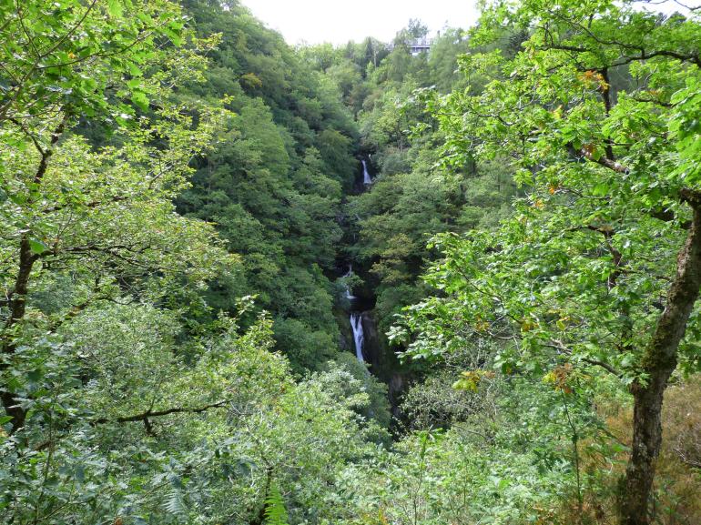Hafod Aber | Hafod Aber in Aberystwyth