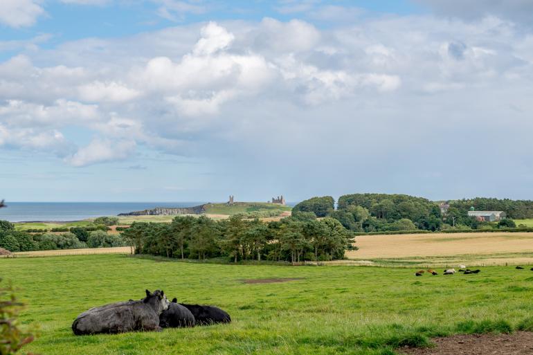 3 The Villas | 3 The Villas in Embleton
