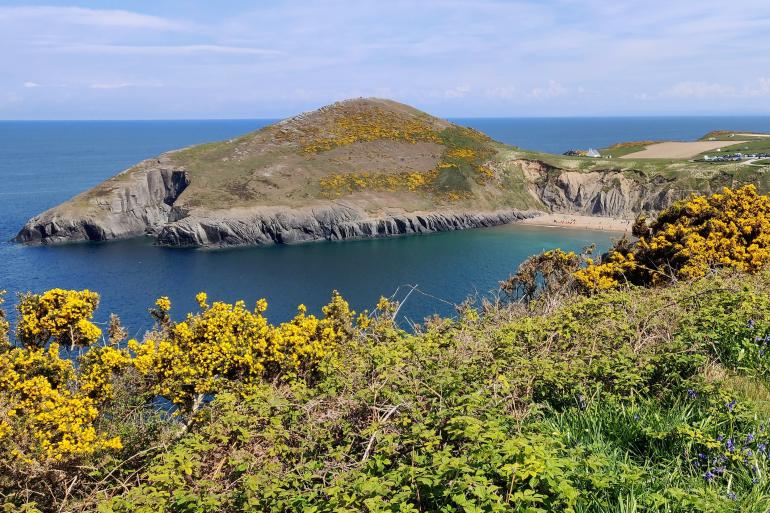 Ty Nant | Ty Nant in Tresaith