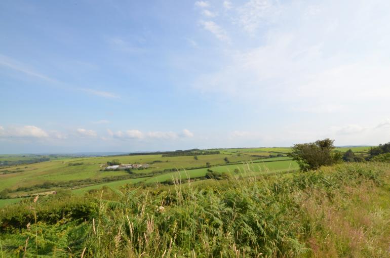 Awel y Grug | Awel y Grug in Llandysul