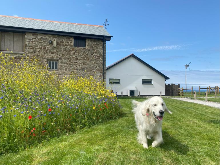 Greencliff Farm - Three Corners Barn | Greencliff Farm - Three Corners ...