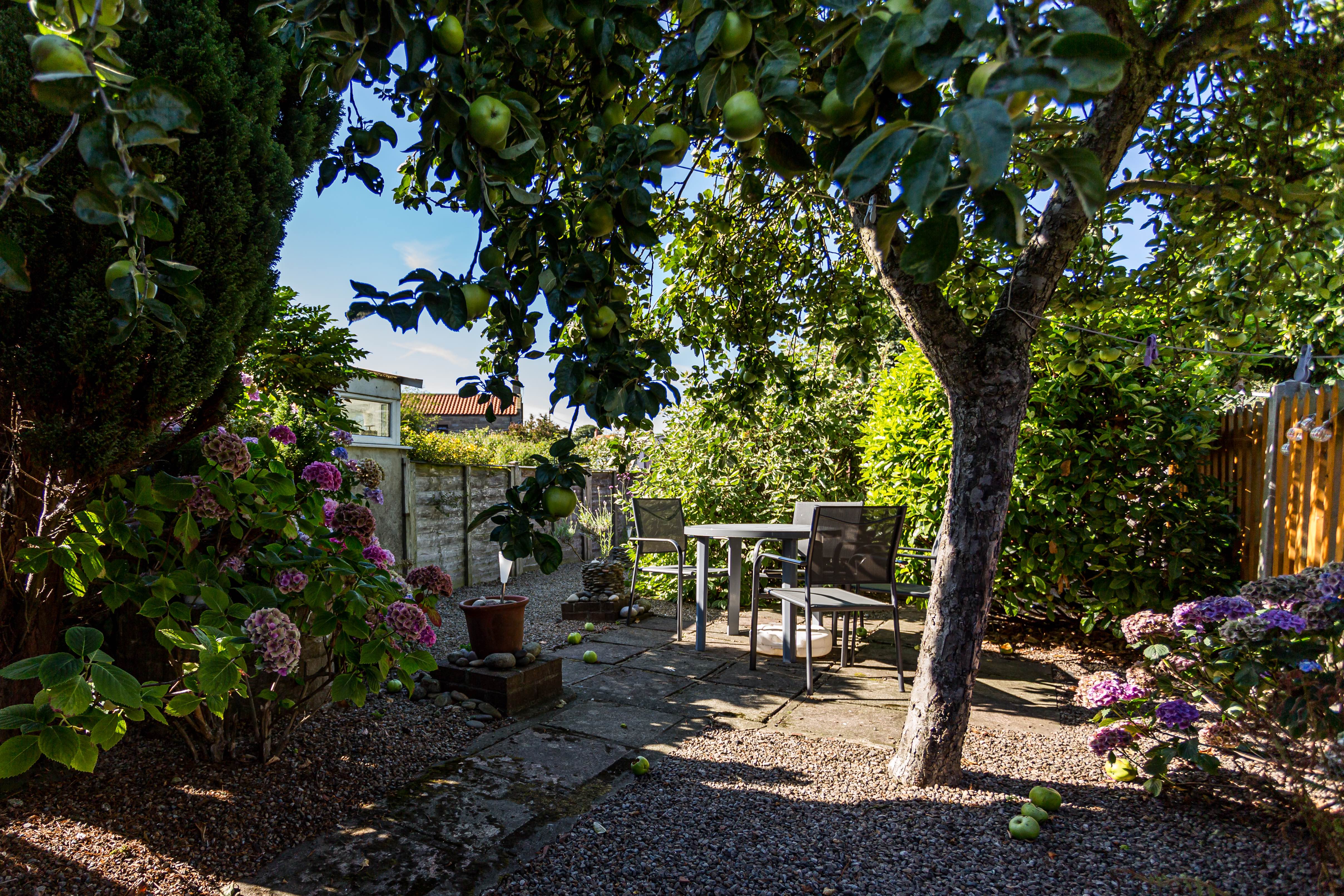 Ness Cottage | Ness Cottage in High Hawsker, near Whitby, Yorkshire