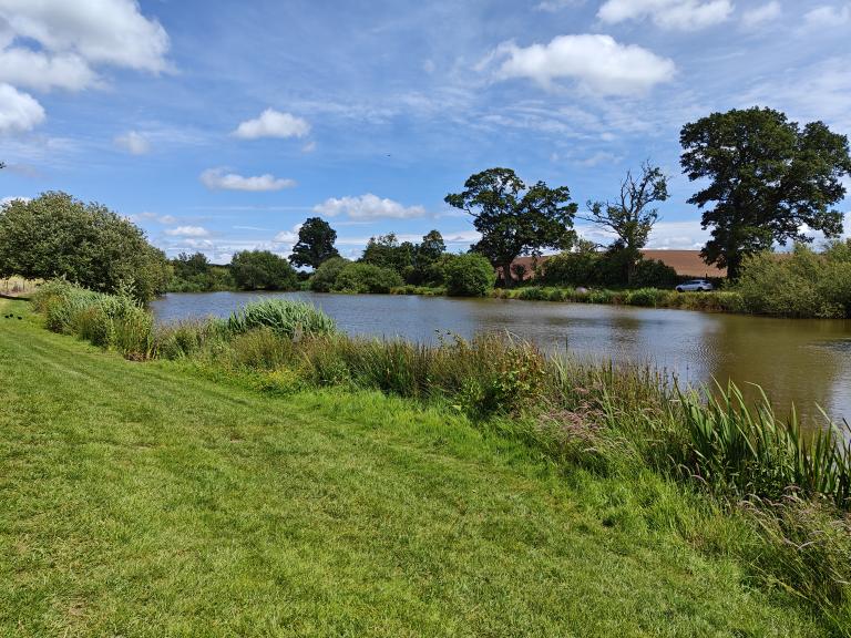 Curlews Rest at Canon Bridge Fishery | Curlews Rest at Canon Bridge ...