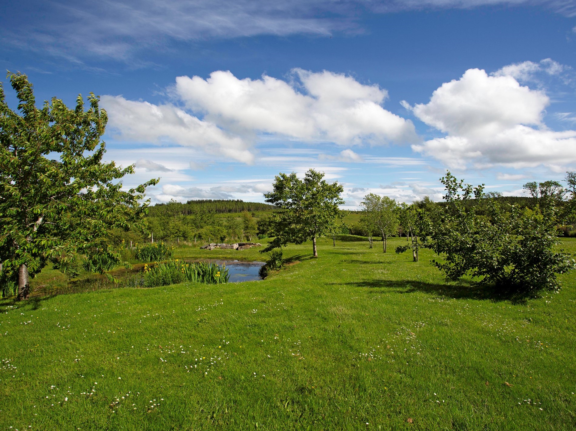 Tollie Cottage | Tollie Cottage in Ardross, near Alness, Northern Scotland