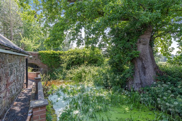 The Old Smithy | The Old Smithy in Llanymynech