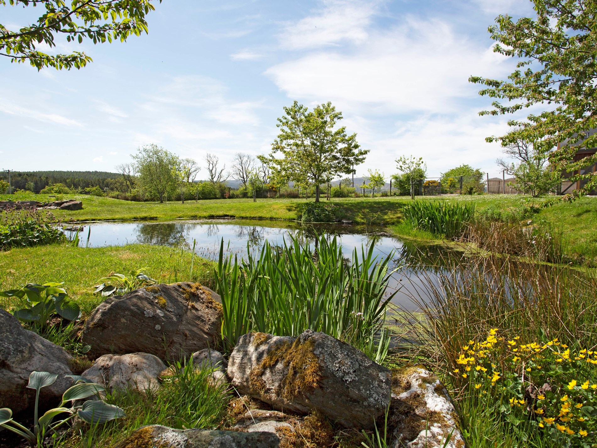 Tollie Cottage | Tollie Cottage in Ardross, near Alness, Northern Scotland