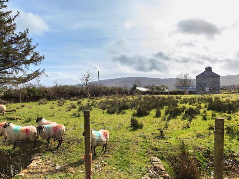 Old Irish Farmhouse | Old Irish Farmhouse in Skreen