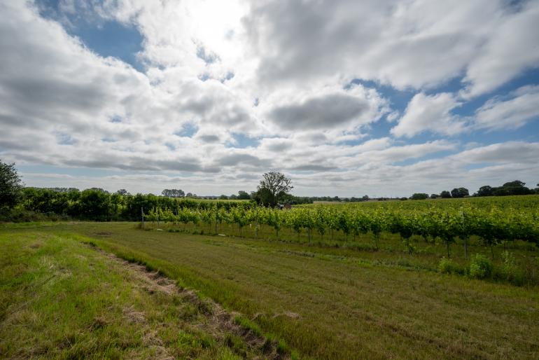Glebe Cottage | Glebe Cottage in Tenterden